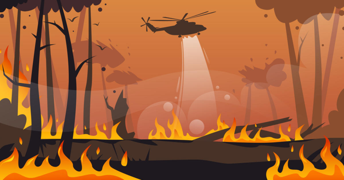 Aerial firefighting operations in Chile: Invitation to tender | AirMed ...